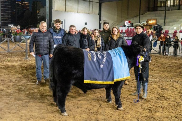 CABAÑA SANTA ROSA DE INDIO RICO CON PREMIO | El Orden de Pringles