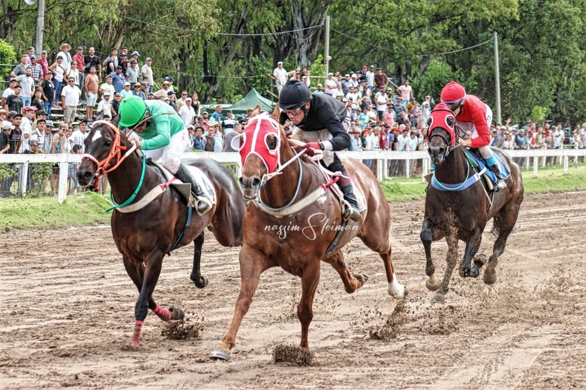 Bombón se impuso en Santa Rosa | El Orden de Pringles